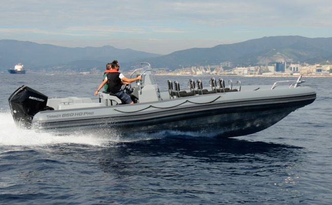 Marlin 850 HD Pro, per lavoro e per "difesa"